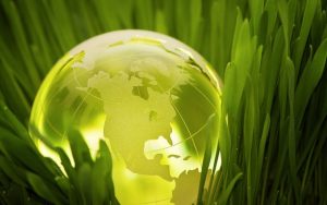 Biocombustíveis: saiba o que são, tipos, vantagens e desvantagens