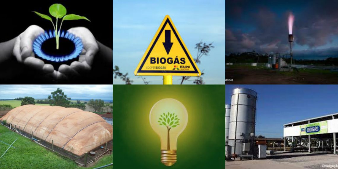 Biogás: características e como funciona - Sustentável