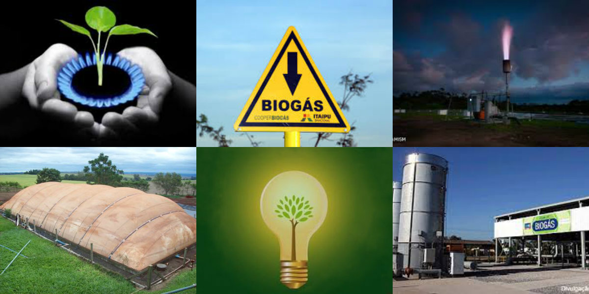 Biogás: características e como funciona - Sustentável