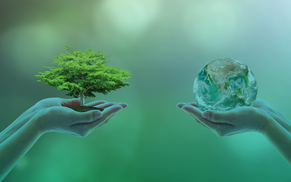 Produtos biodegradáveis: classificação e vantagens - Sustentável