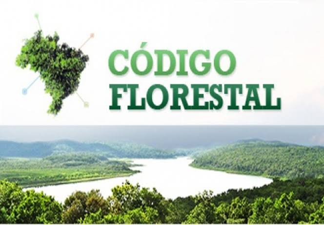Código Florestal: entenda sua importância - Sustentável